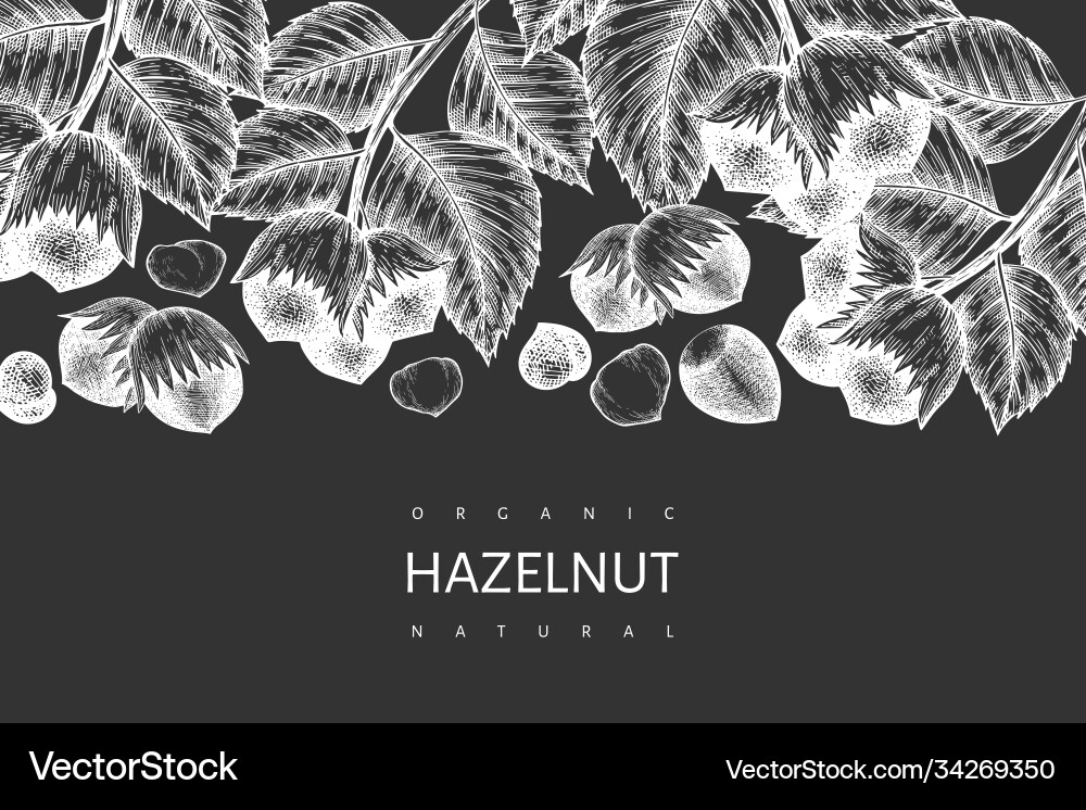 Hand drawn sketch hazelnut design template Vector Image