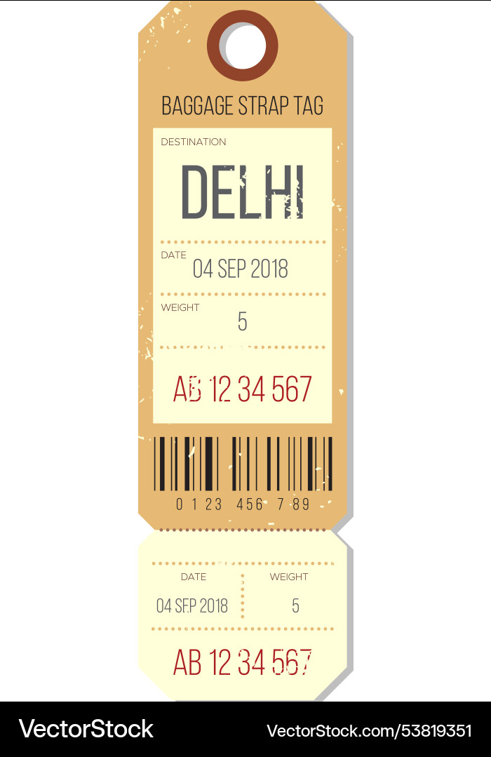 Baggage strap tag showing details for a flight Vector Image
