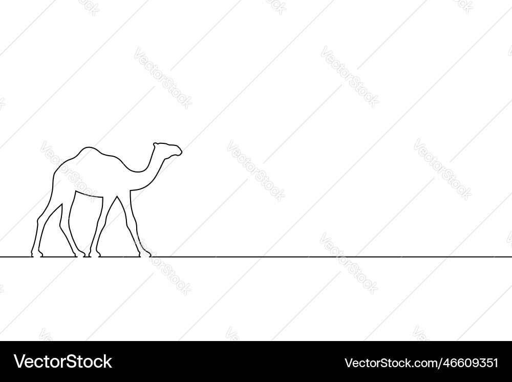 Camel Line Drawing Vector Images (over 880)
