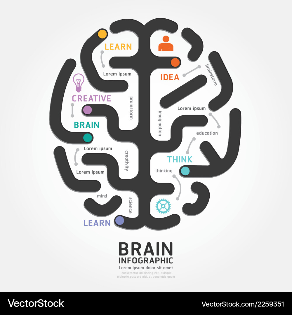 Infographics brain design diagram line style Vector Image