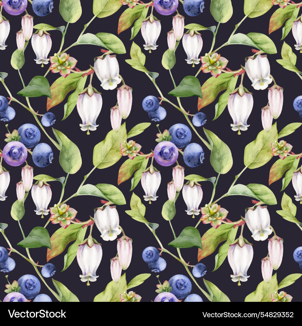 Blackberry blueberry with white bell flowers Vector Image