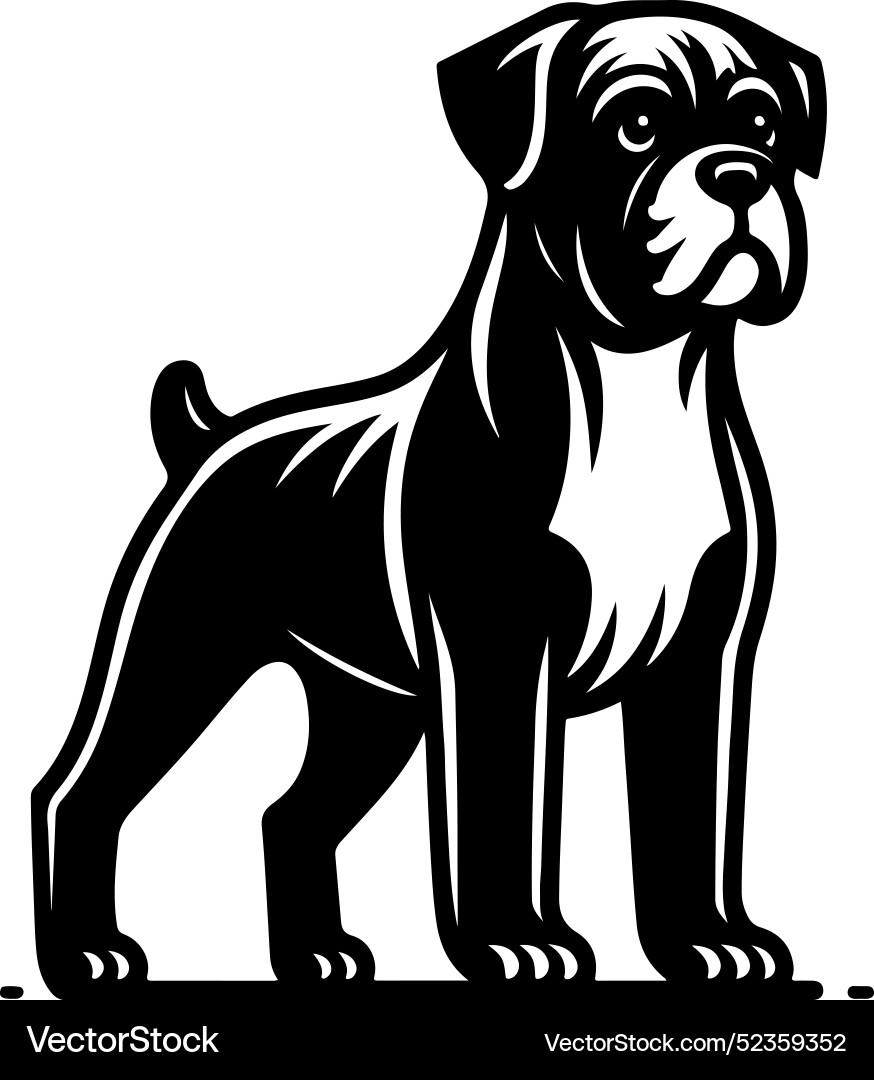 Boxer dog silhouette collection on white Vector Image
