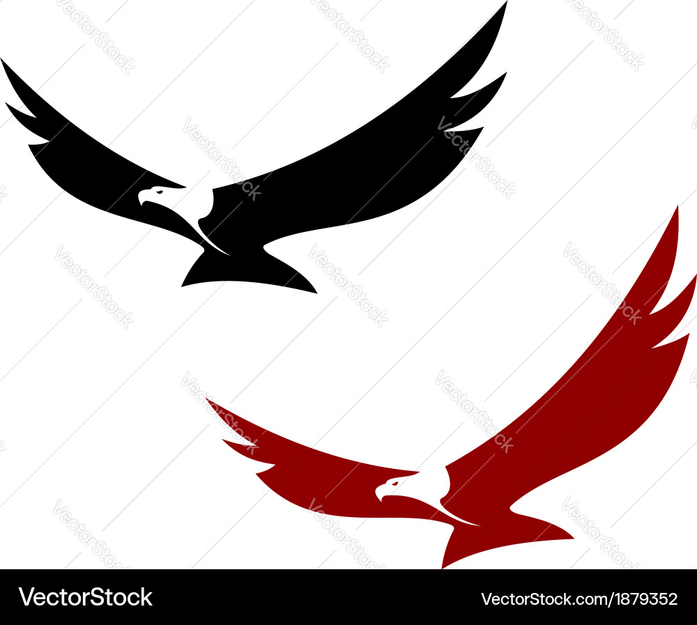 Graceful soaring eagle Royalty Free Vector Image