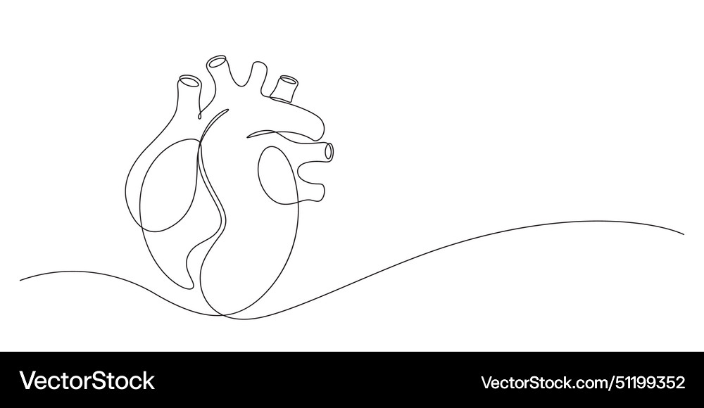 Human heart internal organ in continuous line Vector Image