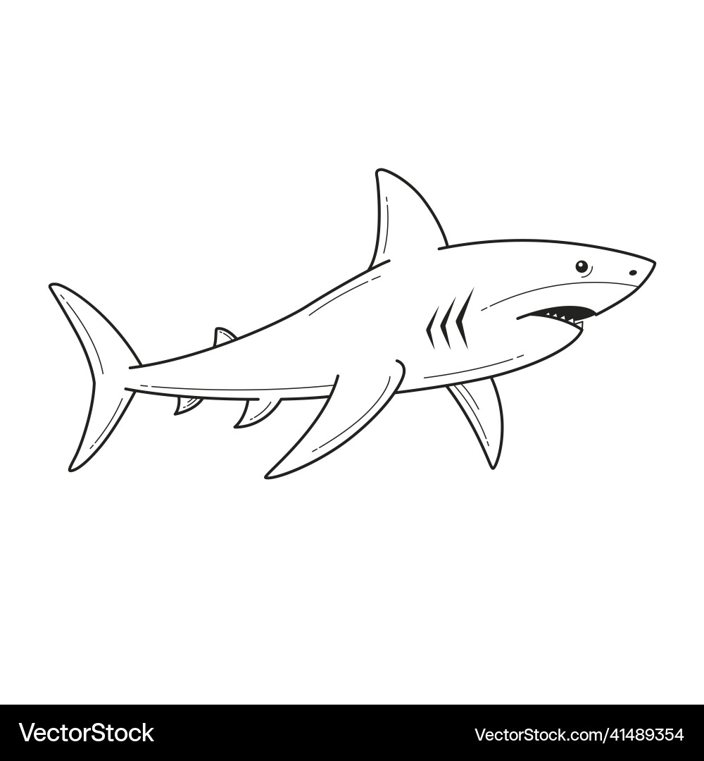 Hand drawn shark outline Royalty Free Vector Image