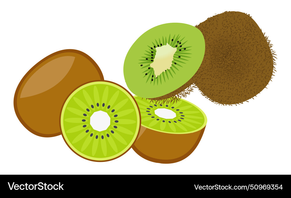 Kiwi design and bundle Royalty Free Vector Image