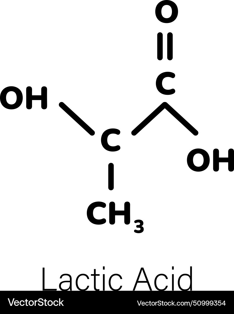 Lactic Acid Royalty Free Vector Image Vectorstock
