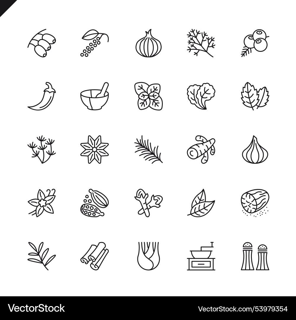 Thin line spices condiments and herbs icons set Vector Image