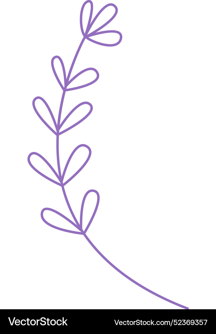 Line lavender branch Royalty Free Vector Image
