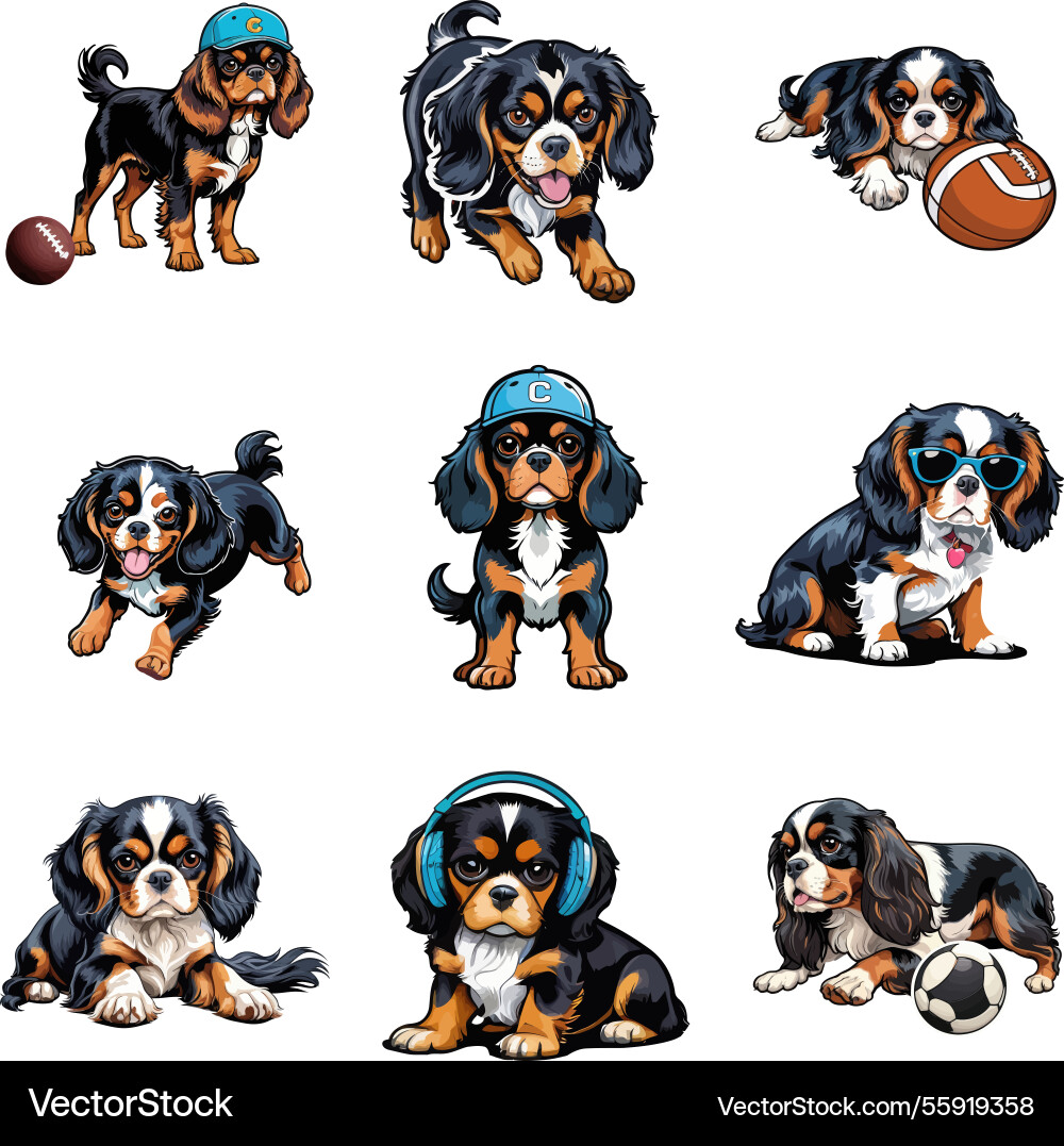 Black tan cavalier king charles spaniel cartoon Vector Image