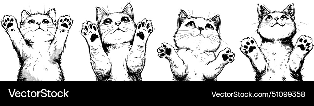 Cat paws up ink sketch concepts cute kitty Vector Image
