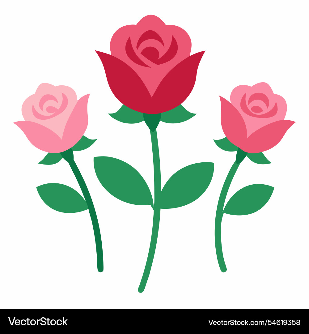 Vibrant red rose in full bloom - floral Royalty Free Vector
