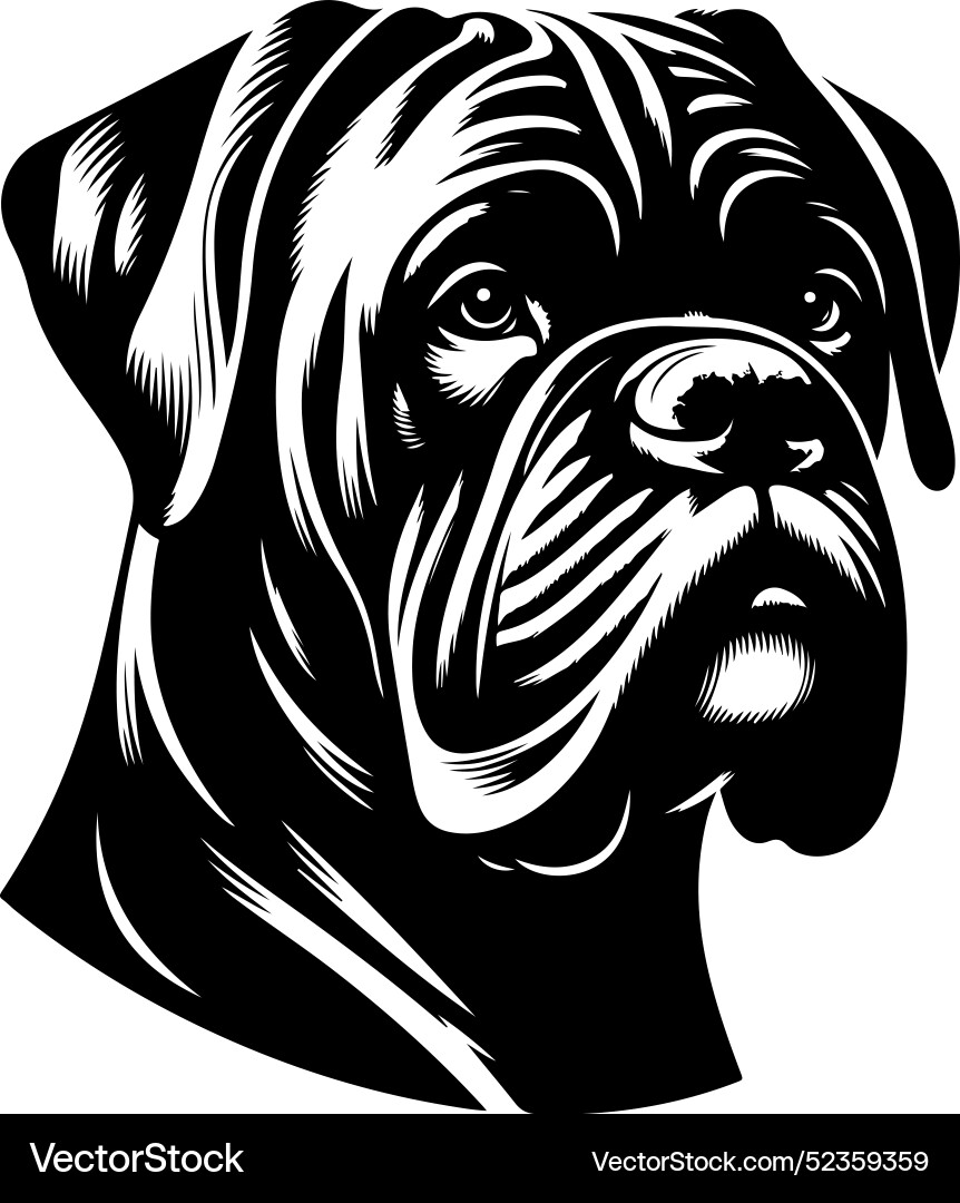Boxer dog silhouette collection on white Vector Image