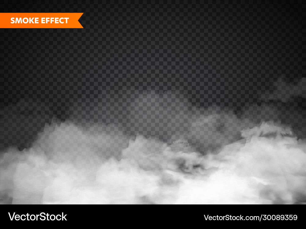 Realistic fog mist effect smoke isolated Vector Image