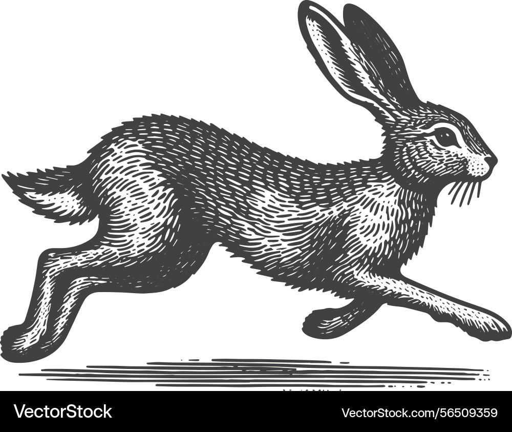 Simple jackrabbit running icon design vintage Vector Image