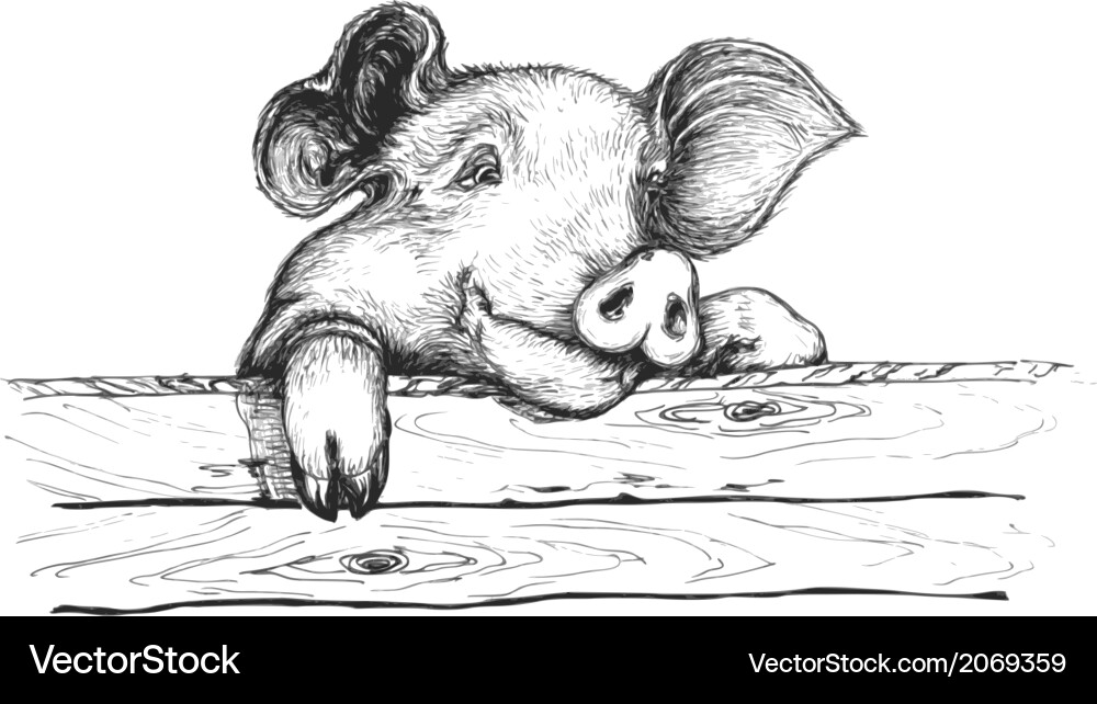 Sly Smile Vector Images (over 1,100)