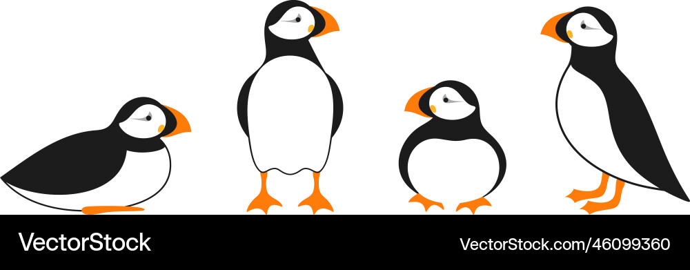 Atlantic puffin Royalty Free Vector Image - VectorStock
