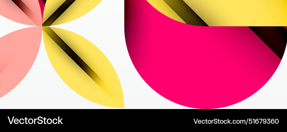 Circle square and flower petal geometric Vector Image