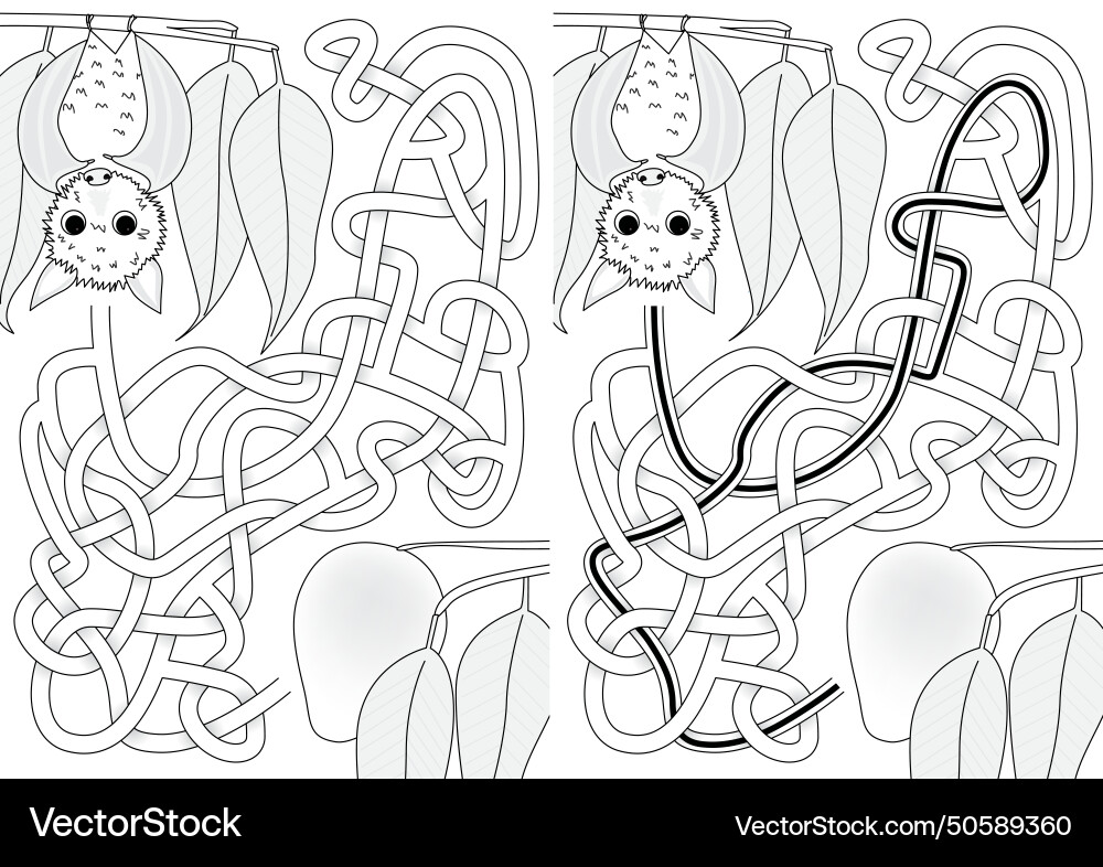 Fruit bat maze Royalty Free Vector Image - VectorStock