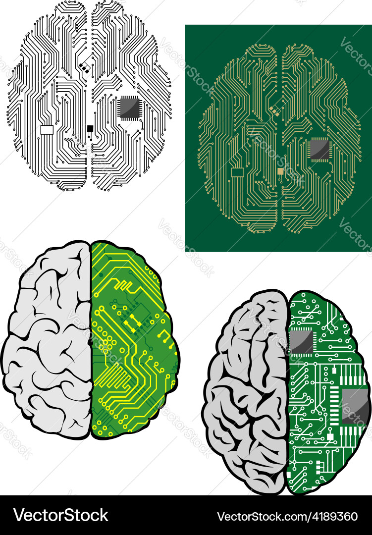 Human Brain and Circuit Board Royalty Free Vector Image