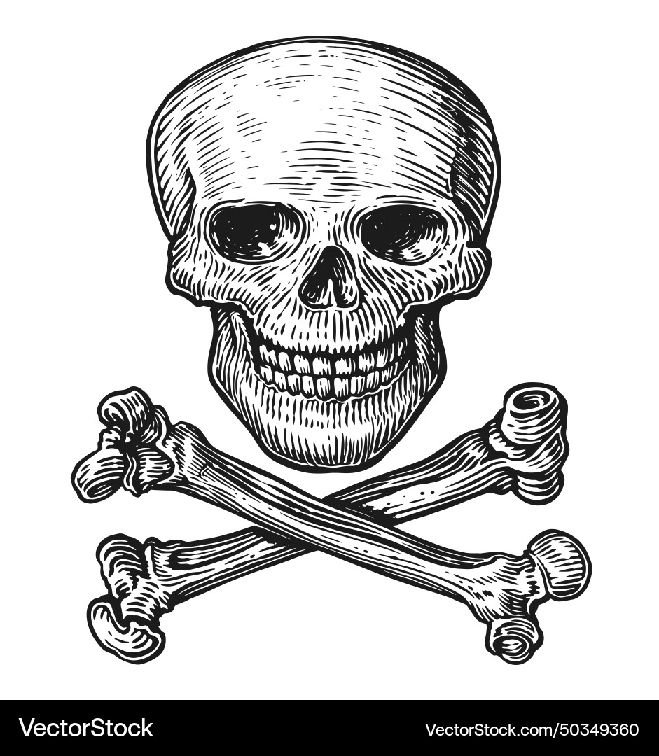 Jolly roger skull with crossbones Royalty Free Vector Image