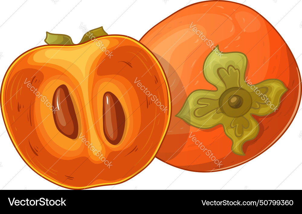 Persimmon Royalty Free Vector Image - VectorStock