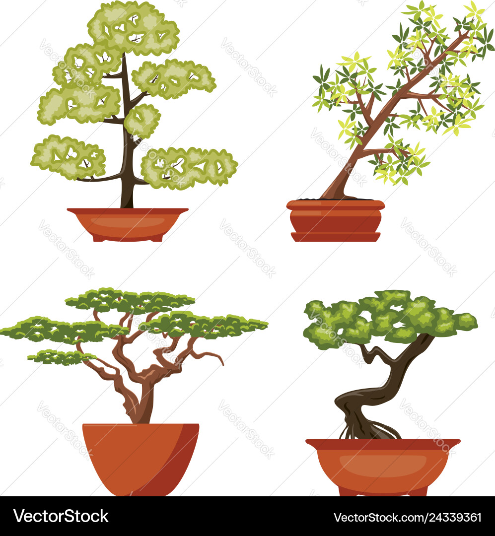 Colorful Bonsai Tree Collection Royalty Free Vector Image