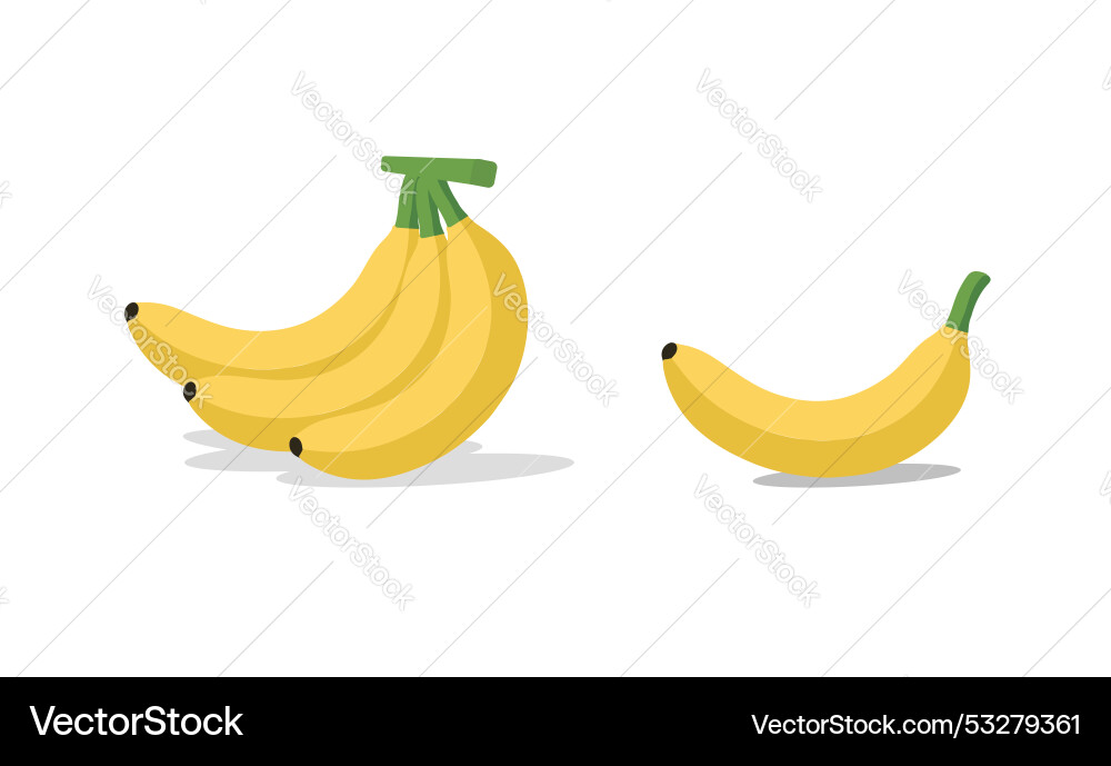 Vibrant yellow banana bunch single Royalty Free Vector Image