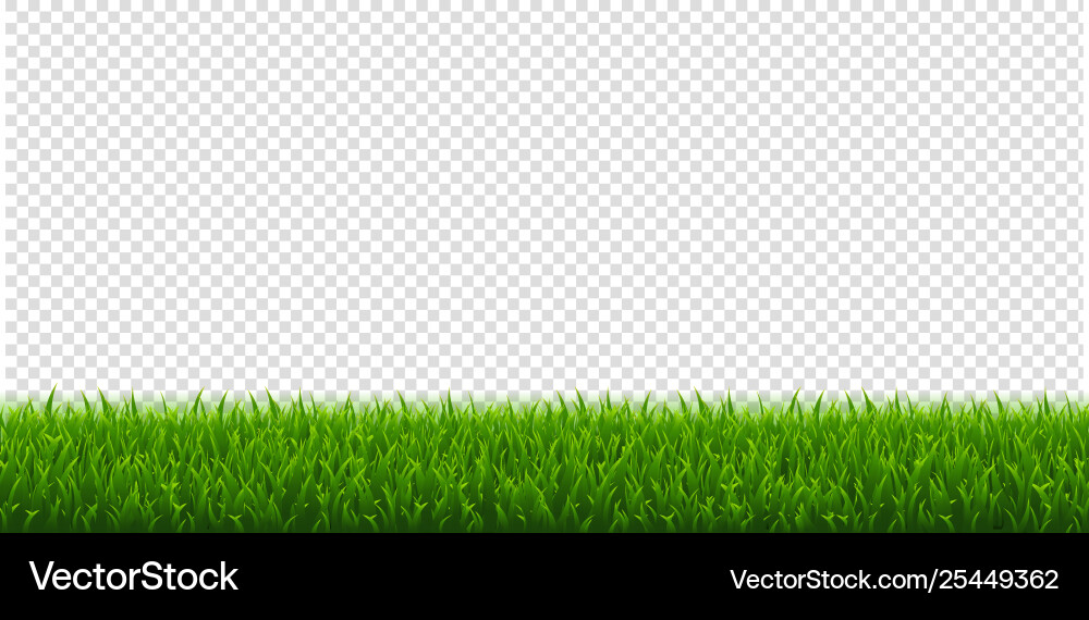 Green grass and transparent background Royalty Free Vector