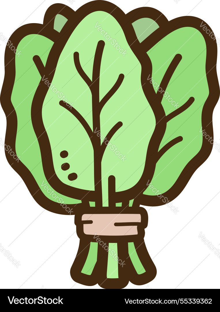 Spinach - vegetables doodle art Royalty Free Vector Image