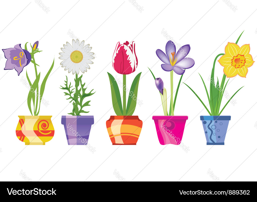 Spring flowers Royalty Free Vector Image - VectorStock