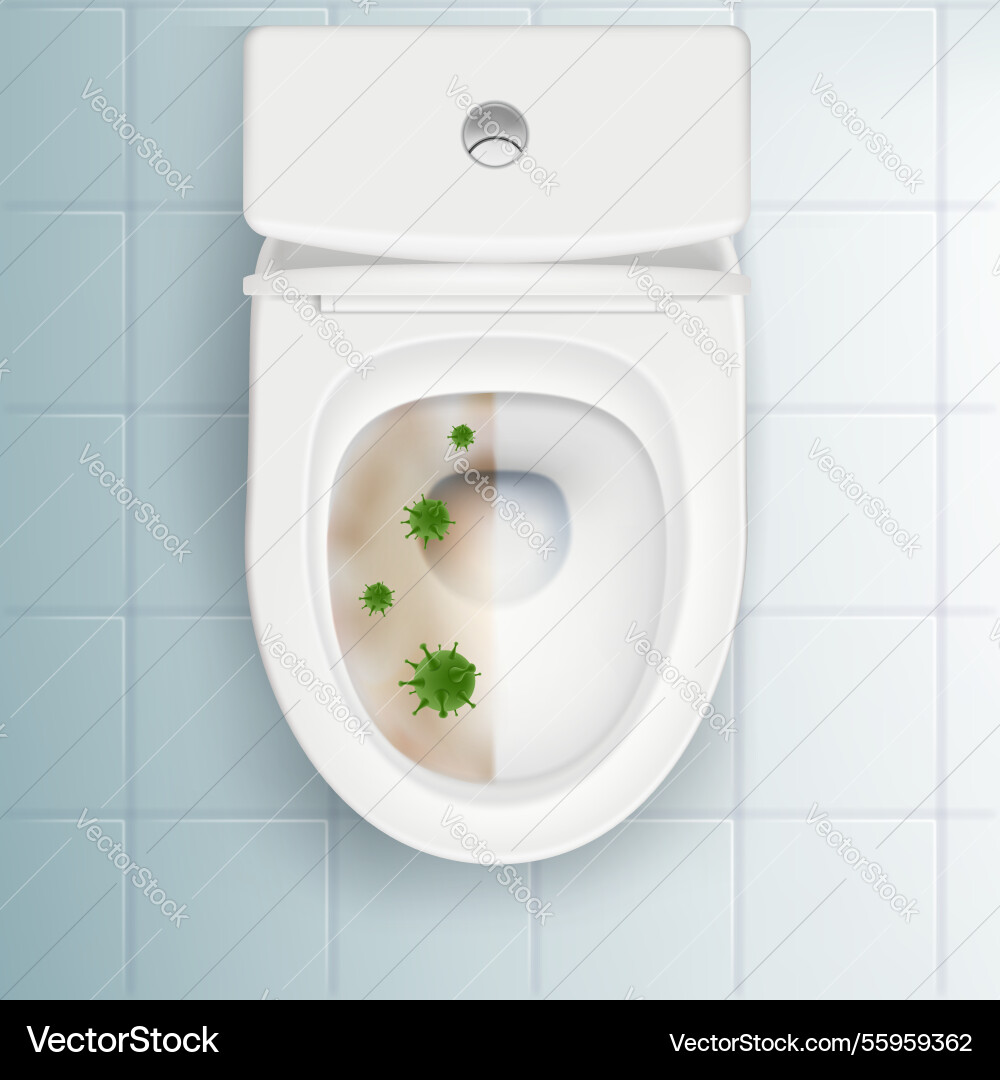 Toilet bowl half clean half dirty Royalty Free Vector Image