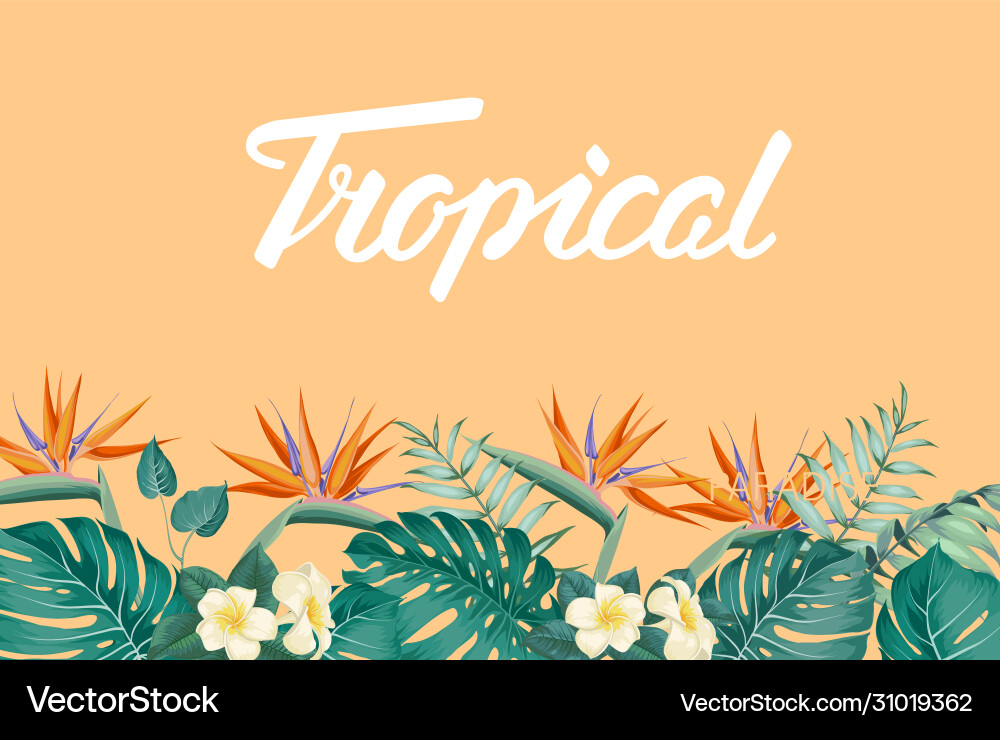 Bali Border Frame Vector Images (over 340)