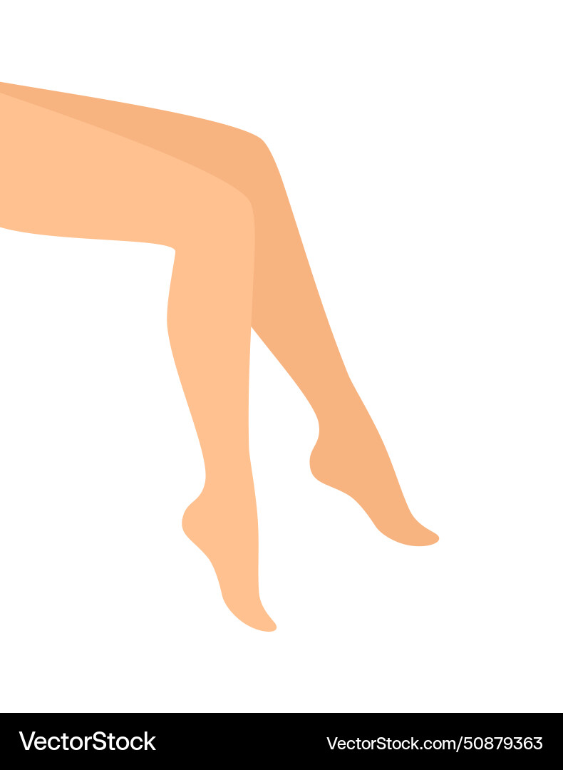 Beautiful female legs on a white background side Vector Image