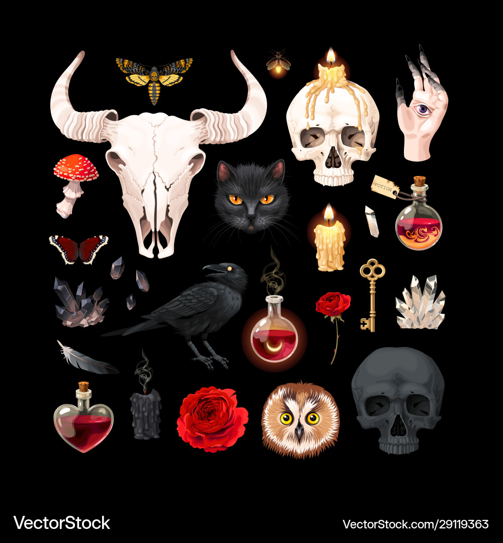 High detailed black magic supplies set Royalty Free Vector