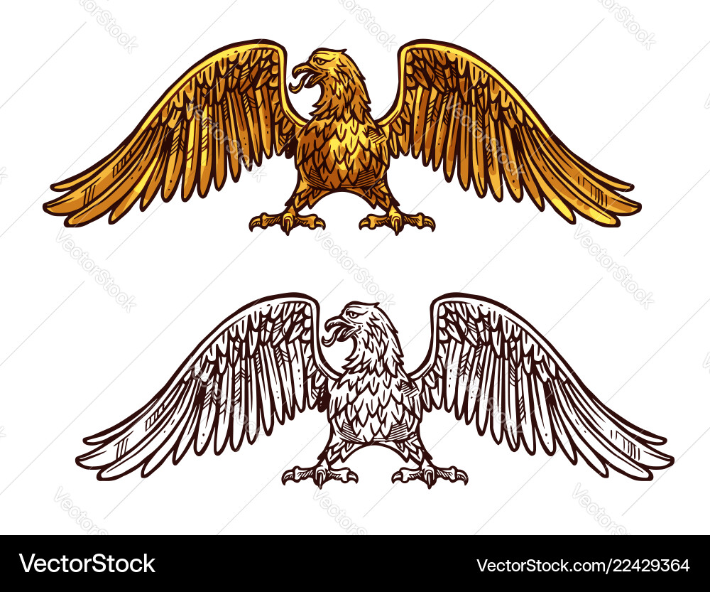 Eagle or hawk golden icon sketch Royalty Free Vector Image