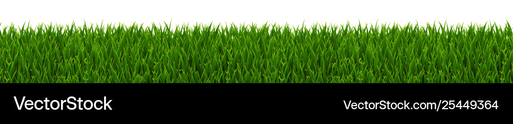 Green grass border Royalty Free Vector Image - VectorStock