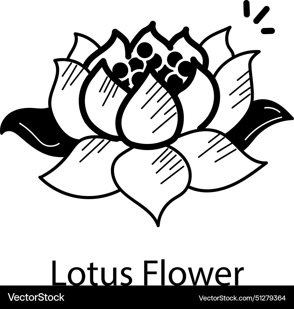 Lotus flower Royalty Free Vector Image - VectorStock