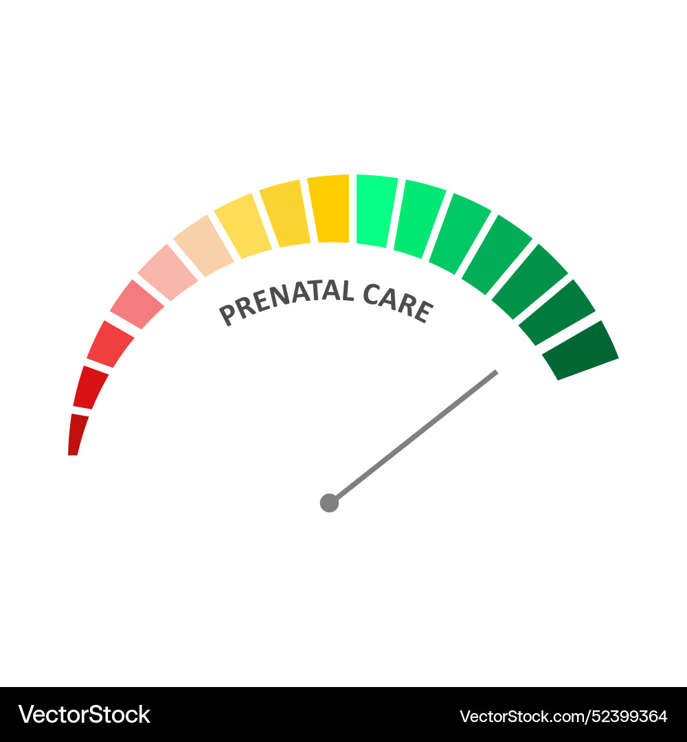 Meter scale with arrow prenatal care measuring Vector Image