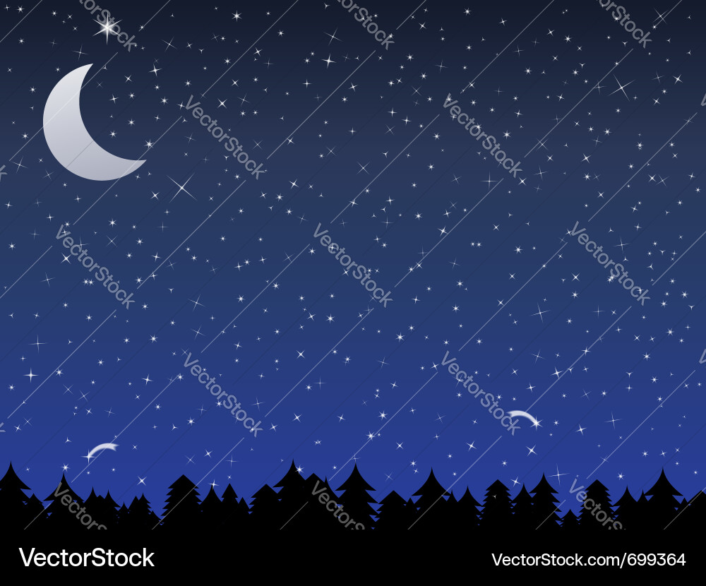 Night Royalty Free Vector Image - VectorStock