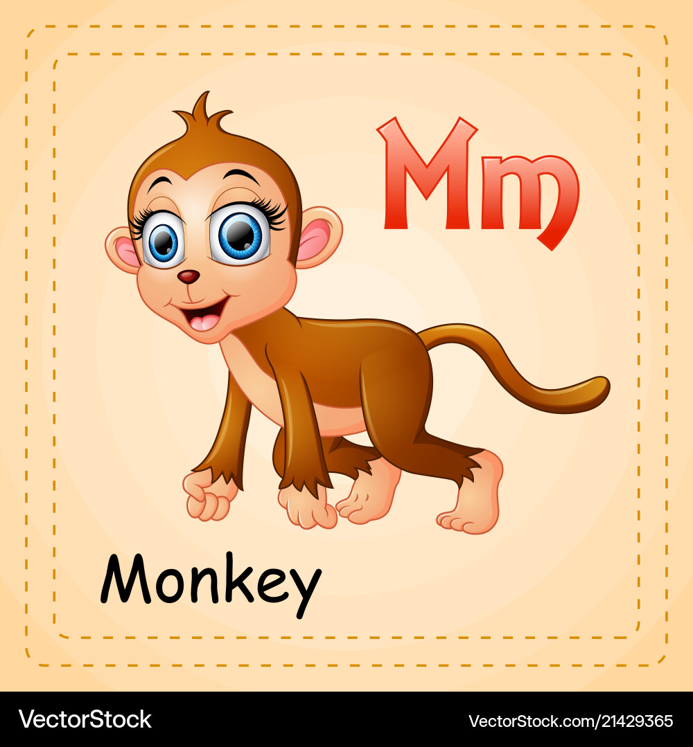 Animals alphabet m is for monkey Royalty Free Vector Image