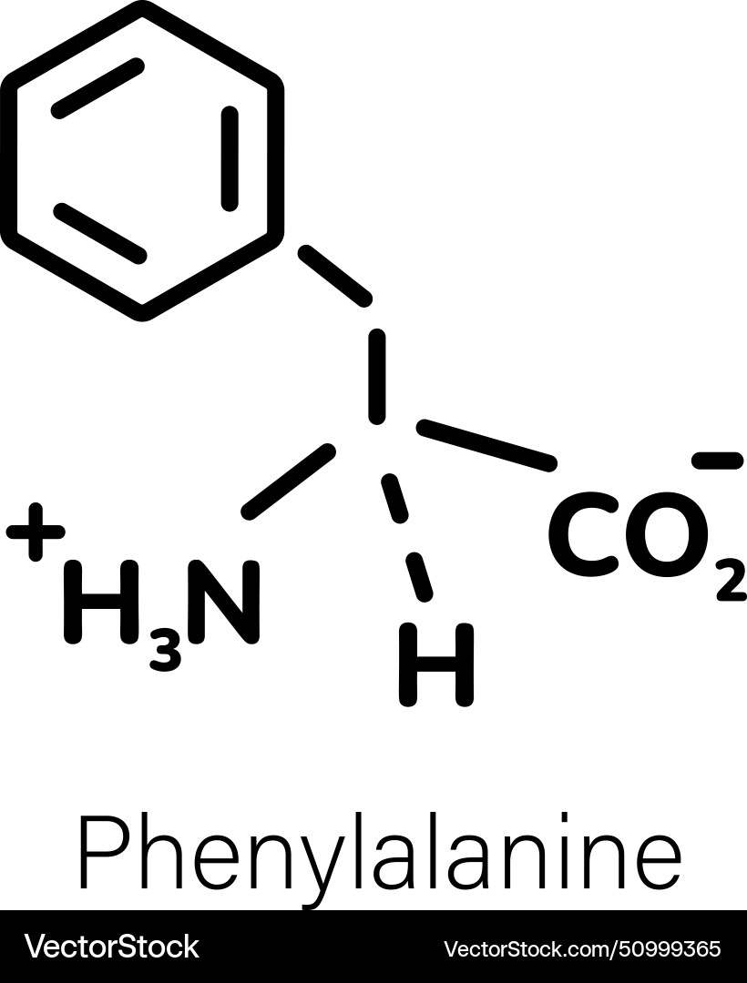 Phenylalanine Royalty Free Vector Image - VectorStock