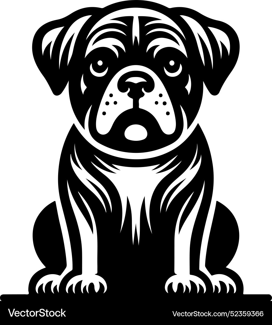 Boxer dog silhouette collection on white Vector Image