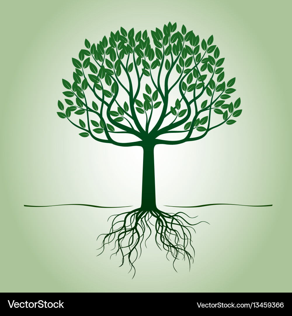 Green tree with roots Royalty Free Vector Image