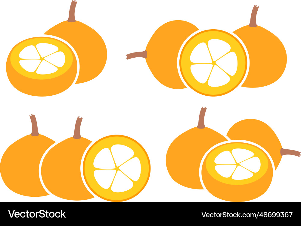 Santol fruit Royalty Free Vector Image - VectorStock
