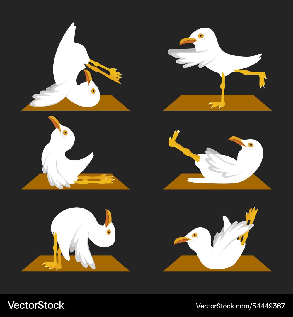 Seagull yoga character set Royalty Free Vector Image