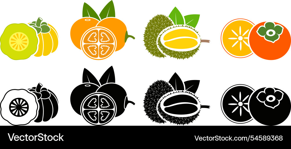 Fruit Royalty Free Vector Image - VectorStock