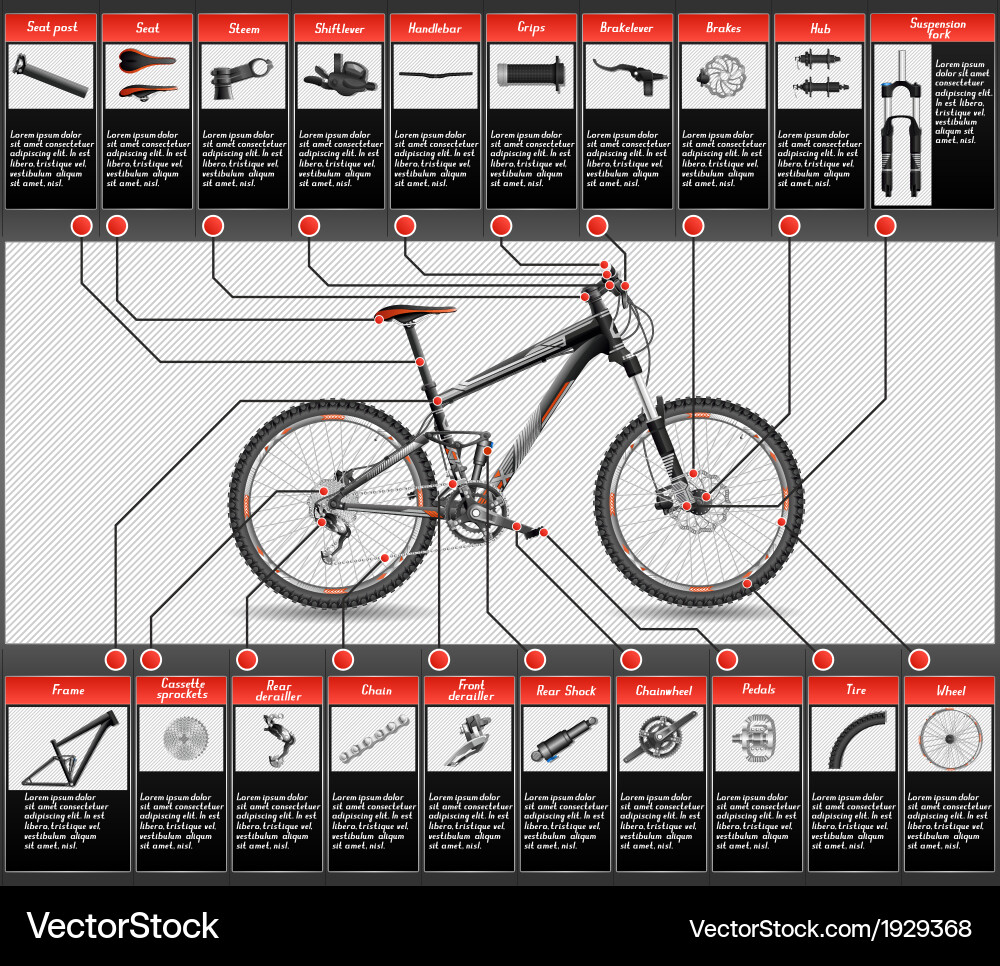 Full suspension mtb Royalty Free Vector Image - VectorStock