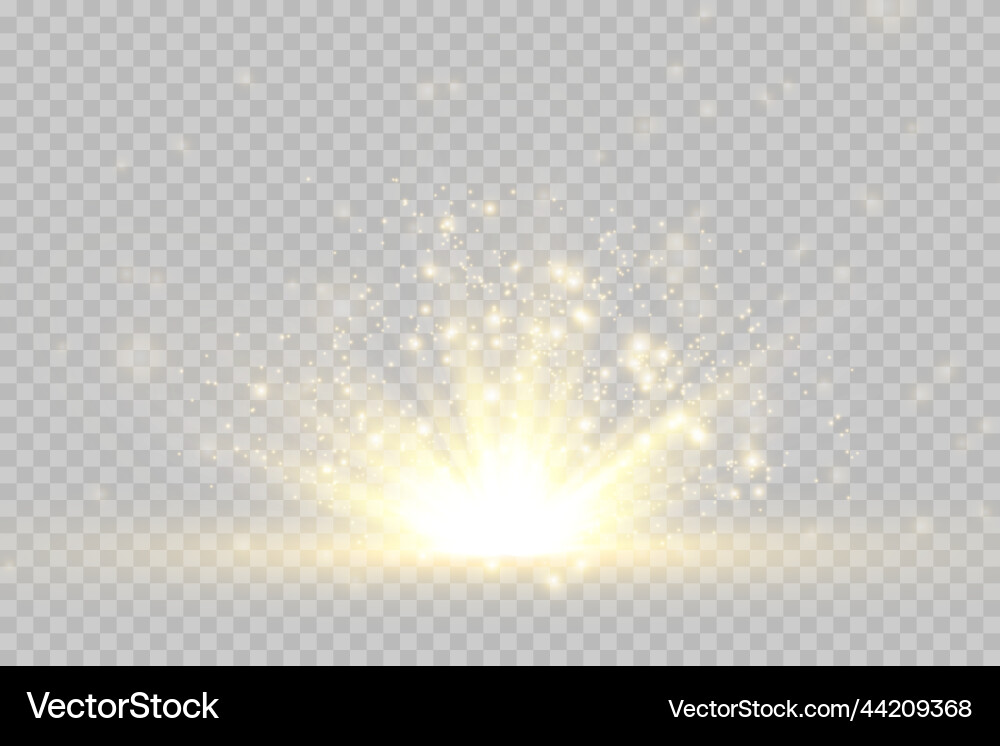 Light star gold png sun Royalty Free Vector Image