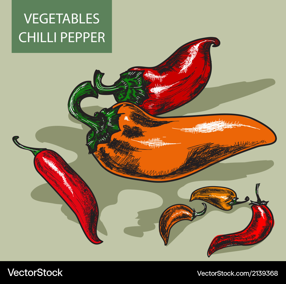 Pepper Royalty Free Vector Image - VectorStock